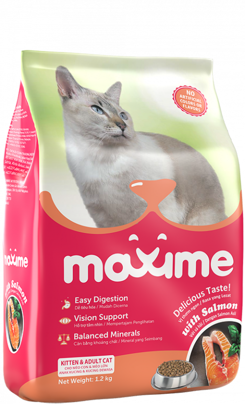 Cat - Maxime
