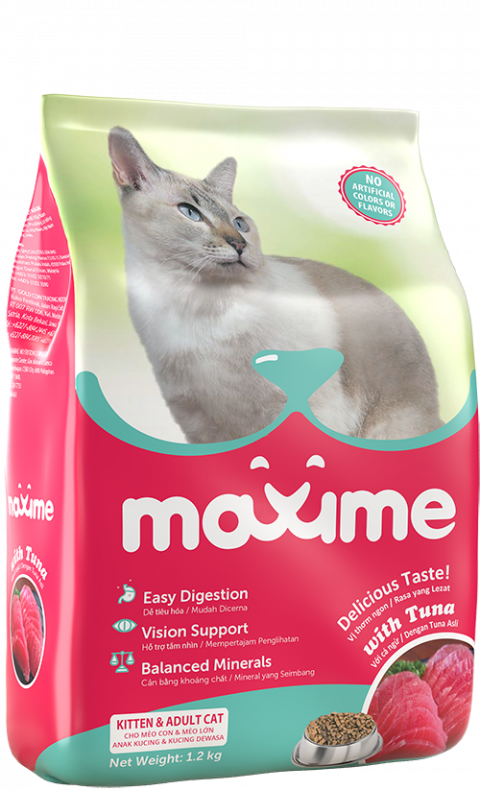 Cat - Maxime